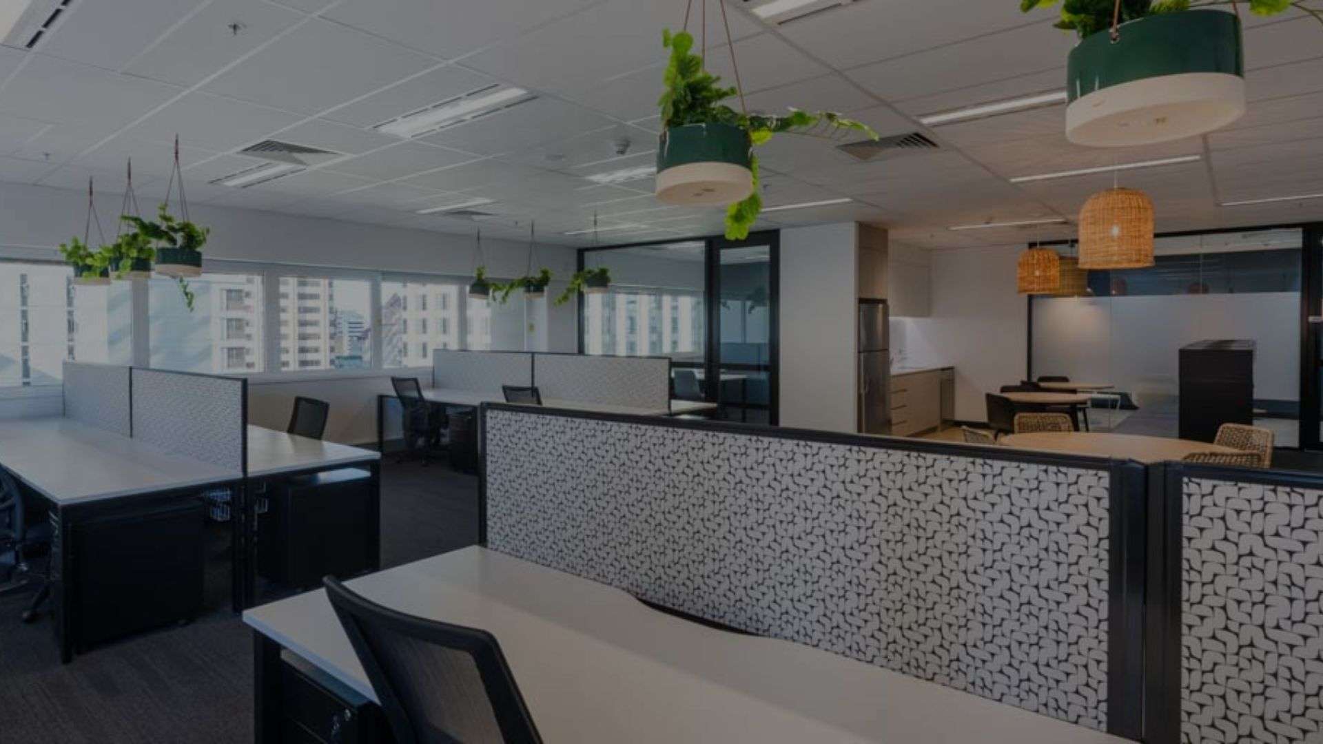 Our Workplace Strategy, Design & Fitout Projects | Amicus